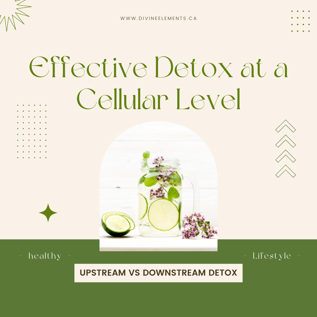 Effective Detox at a Cellular Level - Vancouver Naturopathic Welness ...