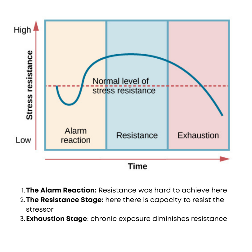 How to Create More Resilience to Stress - Vancouver Naturopathic ...